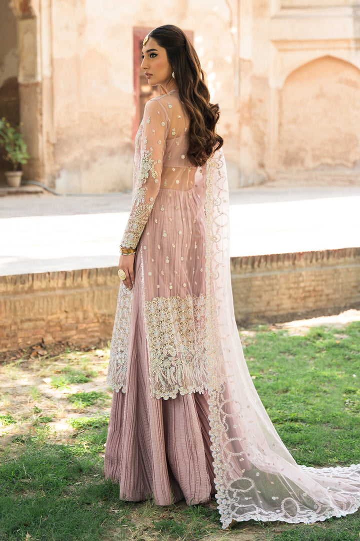 Buy New Arrivals Women Dresses Online in Pakistan | Chiffon | Ayzel.pk ...