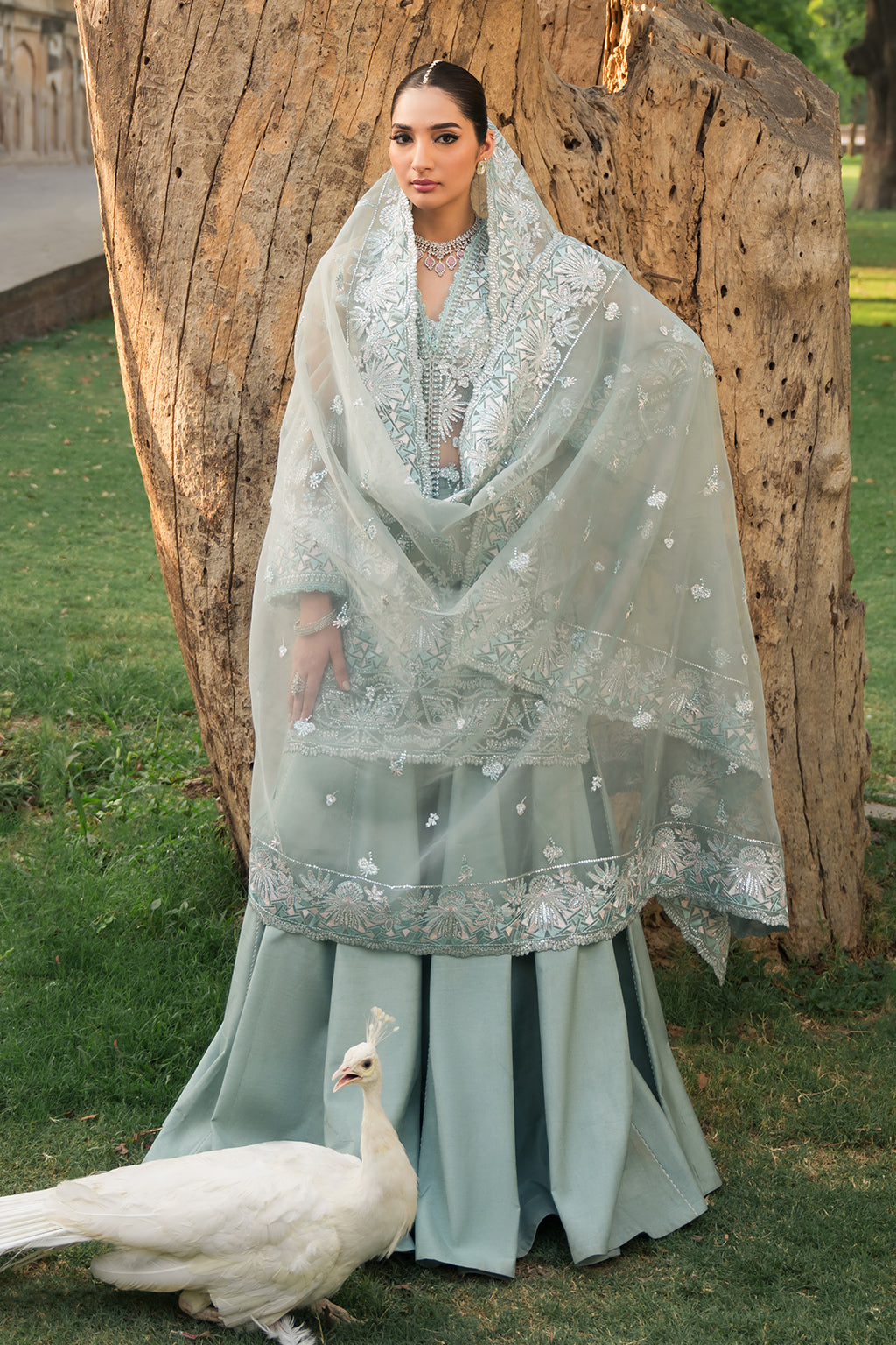 Buy New Arrivals Women Dresses Online in Pakistan | Chiffon | Ayzel.pk ...