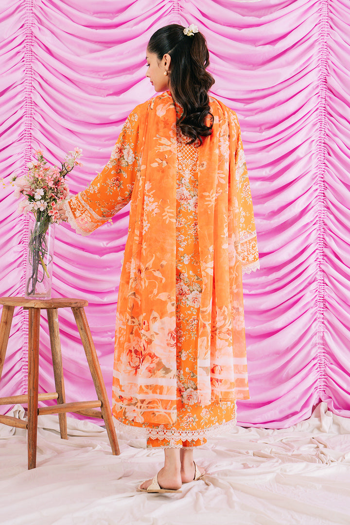Discover Renisa Collection at Ayzel PK | Timeless Elegance – Ayzel clothing